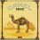 Camel - Masters Of Progressive Rock And Space Jams | uDiscover Music