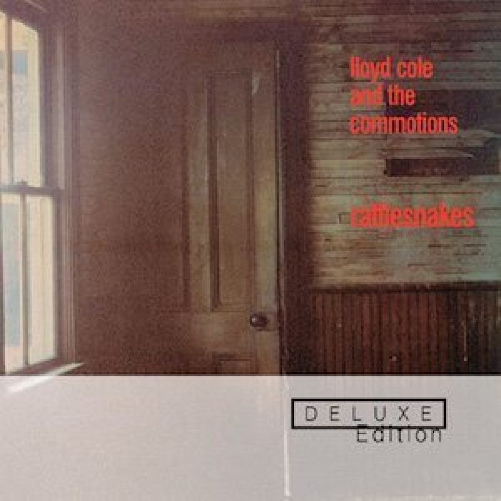 Lloyd Cole and the Commotions Anthology On The Way