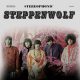 Steppenwolf's Debut Album Showed Off Their Wild Side | uDiscover