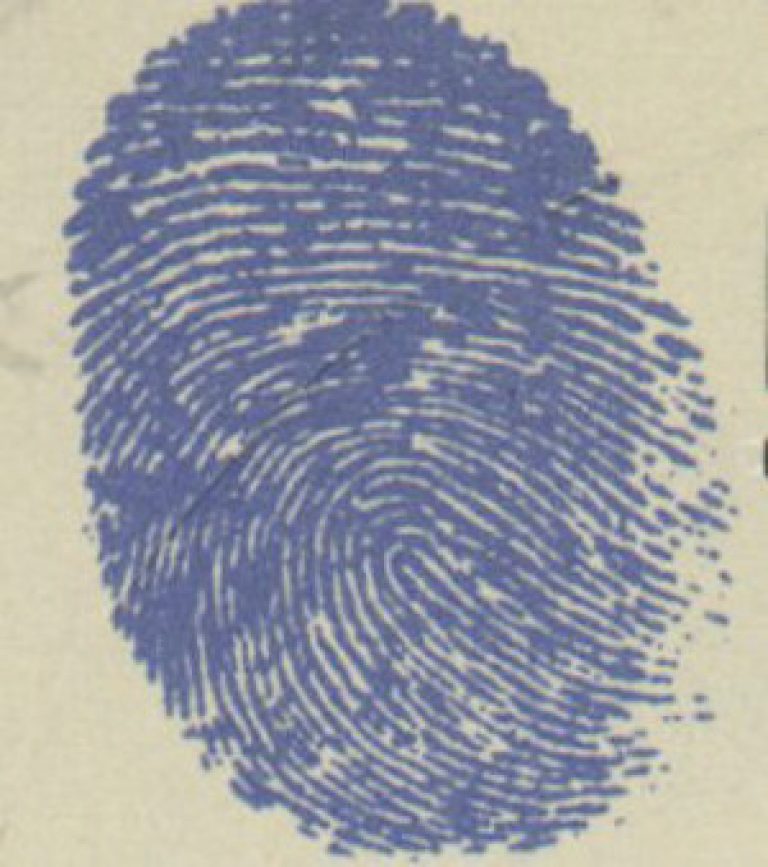 Eclectic Artist Home Blue Thumb Revisited On Expanded Compilation ...