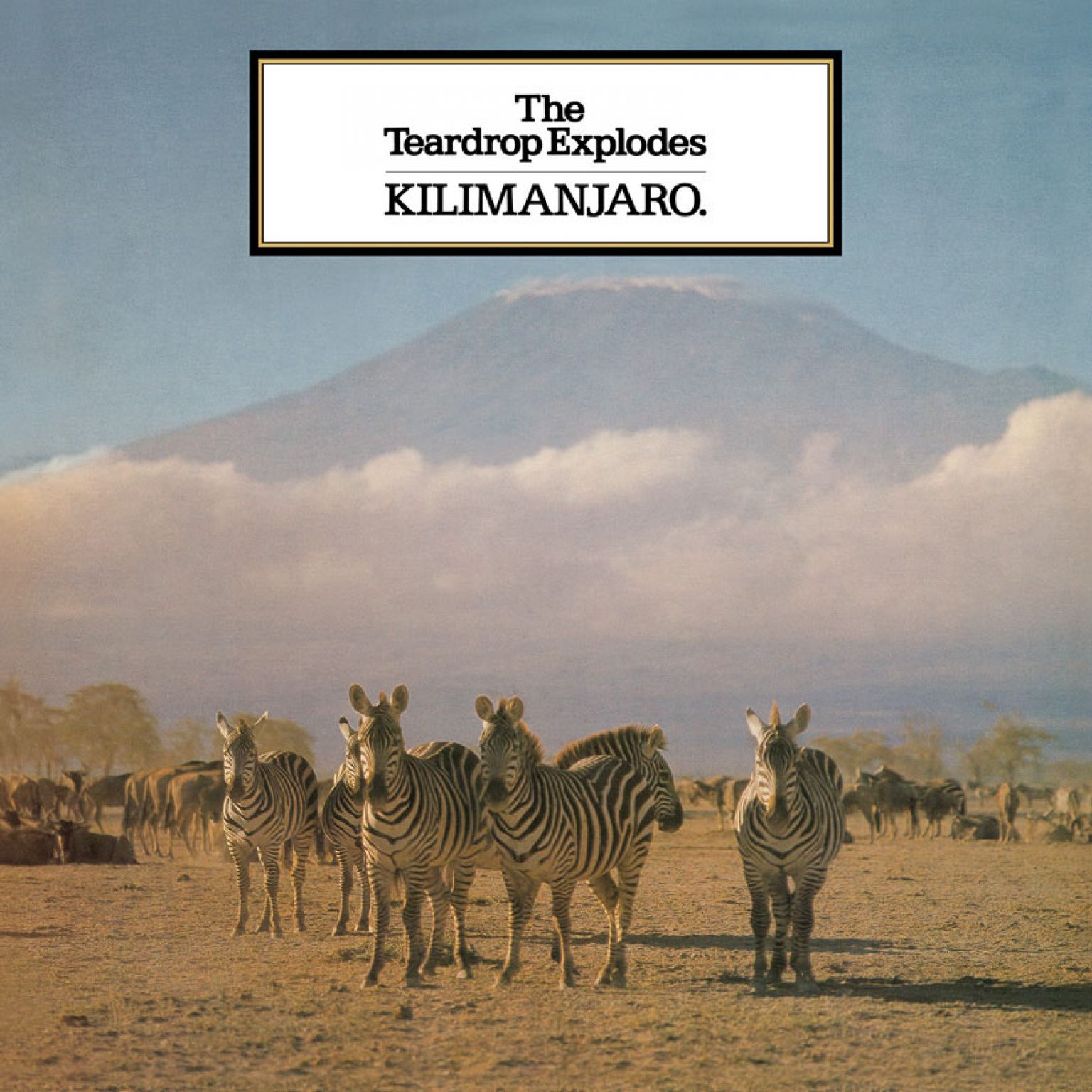The Teardrop Explodes Kilimanjaro And Wilder Set For Vinyl Reissue The Teardrop Explodes Kilimanjaro And Wilder Set For Vinyl Reissue