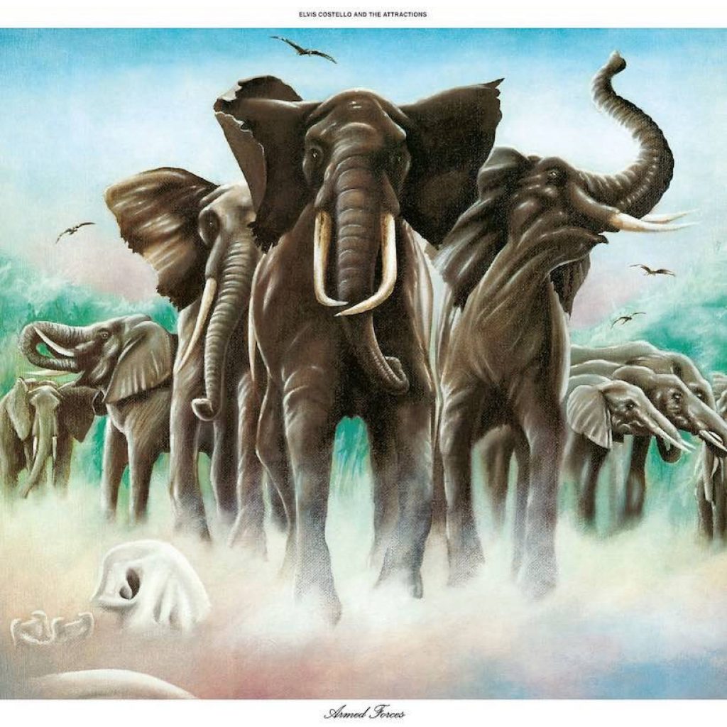Elvis Costello - Impossible To Predict, A True Music Artist | uDiscover ...
