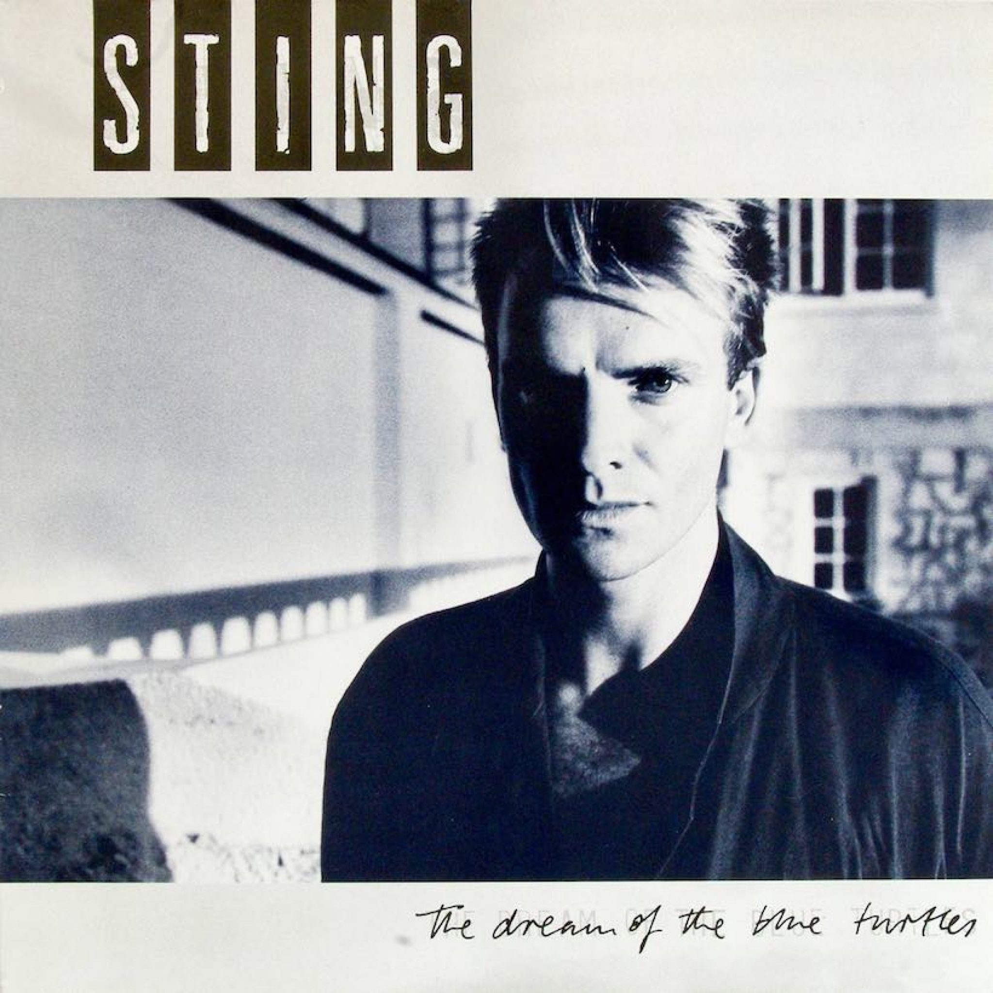 'The Dream Of The Blue Turtles': 'A Very Happy Experience,' Recalls Sting