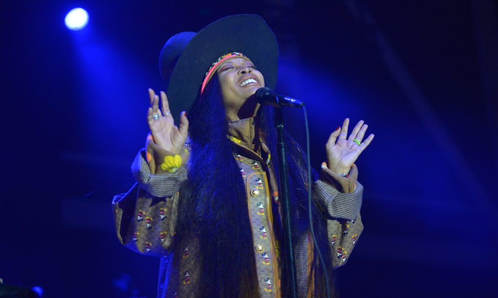 Erykah Badu, Nas, And More Set To Headline Smokin Grooves Festival