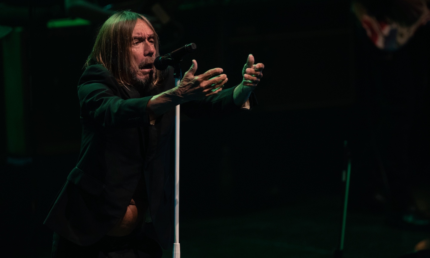 Iggy Pop Shares Conversation With RHCP Legend Flea
