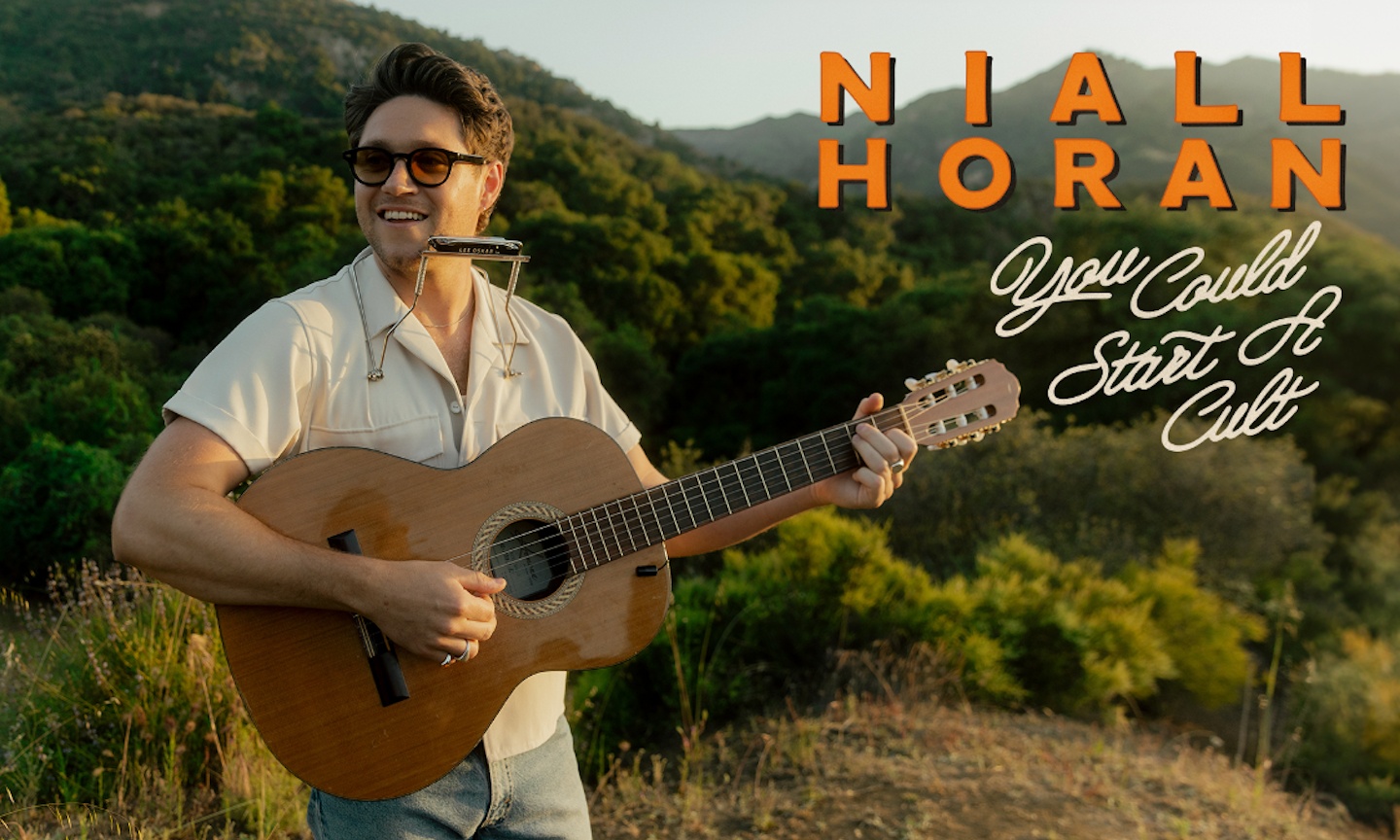 Niall Horan Salto De Guitarra