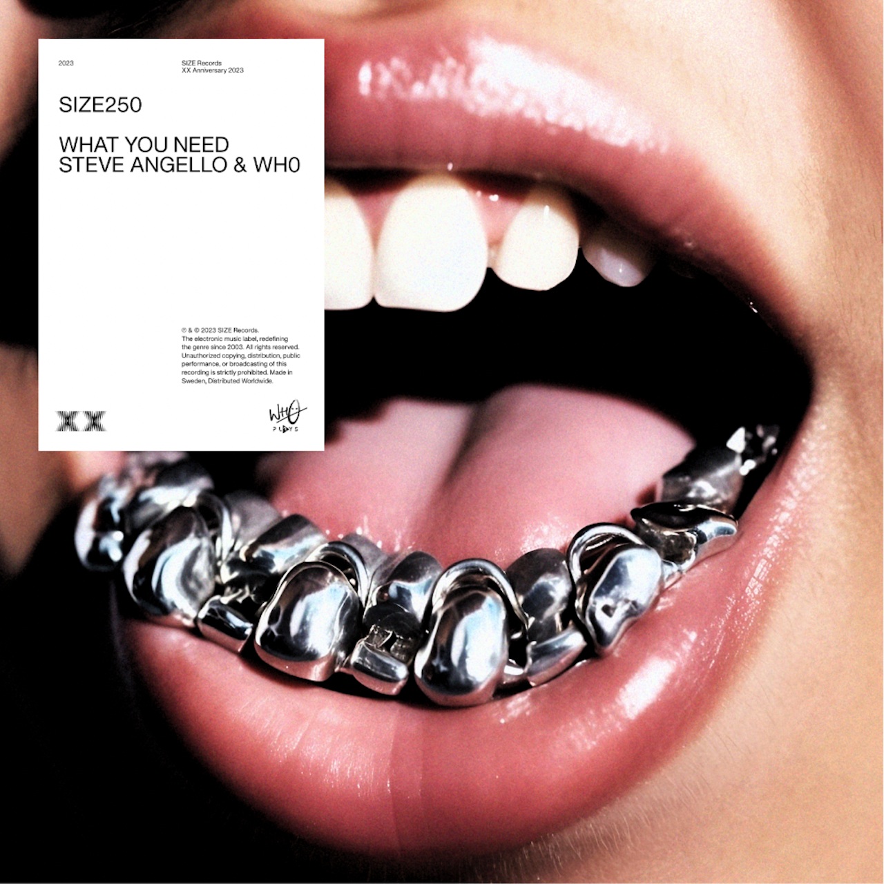 Steve Angello And WH0 Share Video For ‘What You Need’