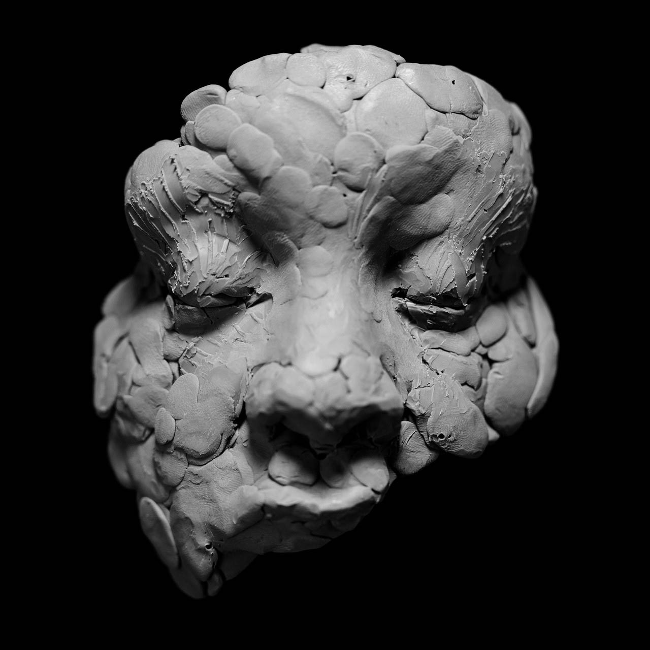 Joy Oladokun Announces New Album, 'Observations From A Crowded Room'