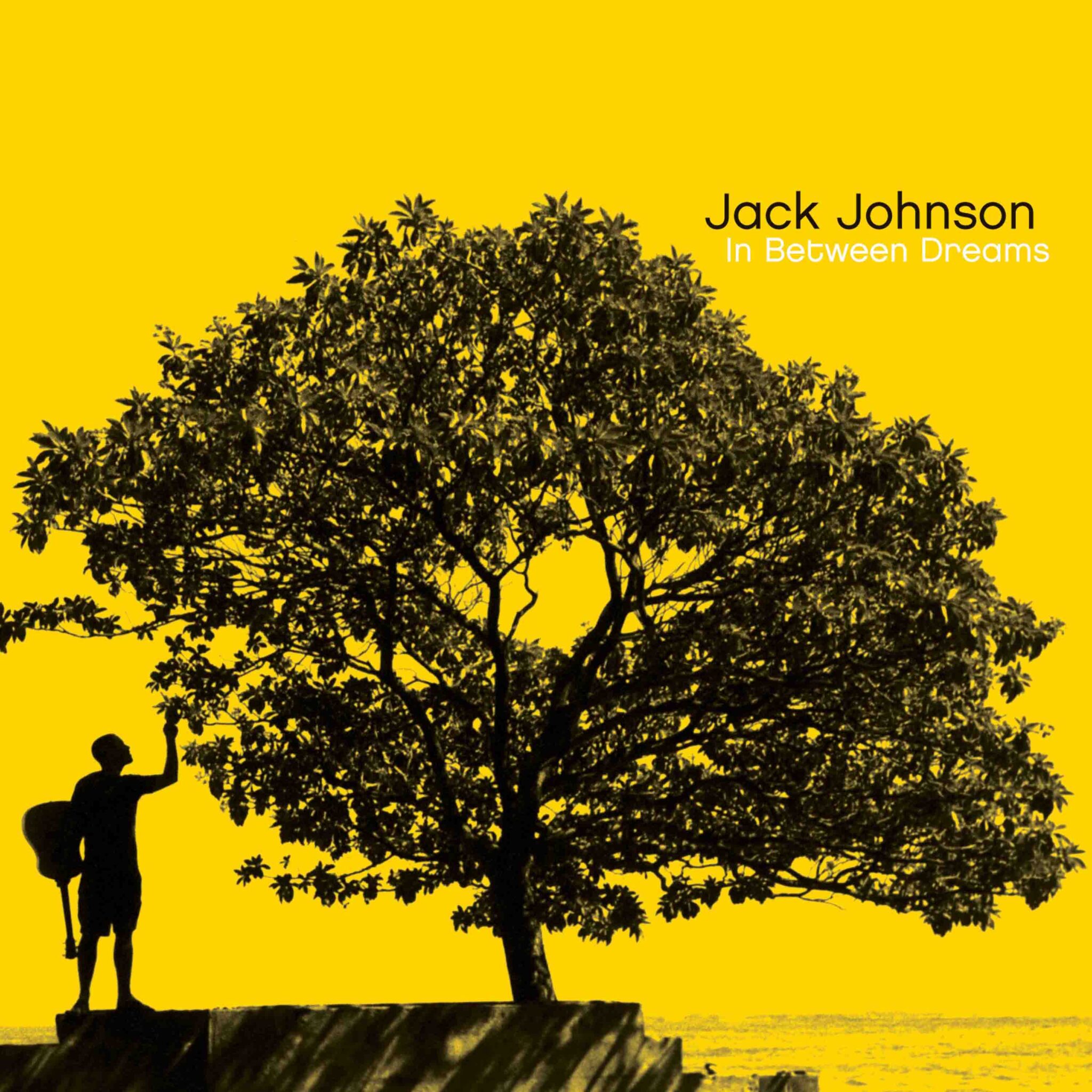 Jack Johnson Celebrates 20 Years of ‘In Between Dreams’