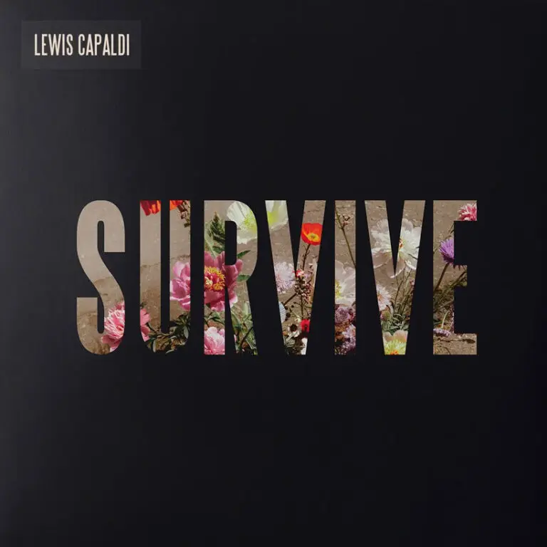 Lewis Capaldi Shares 'Stay Love' Official Video